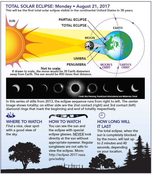 Tips to Protect Your Eyes During the Solar Eclipse - Meijer Optical
